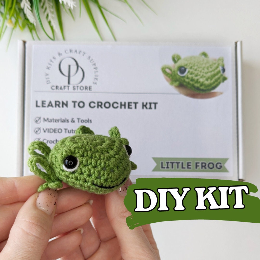 DIY Kit, Learn to Crochet Amigurumi Frog, Gift for Crafter - Etsy