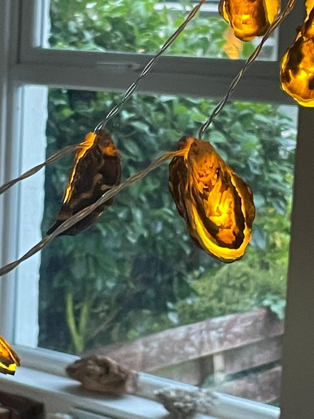 Little Oyster Shell Fairy Lights - Etsy