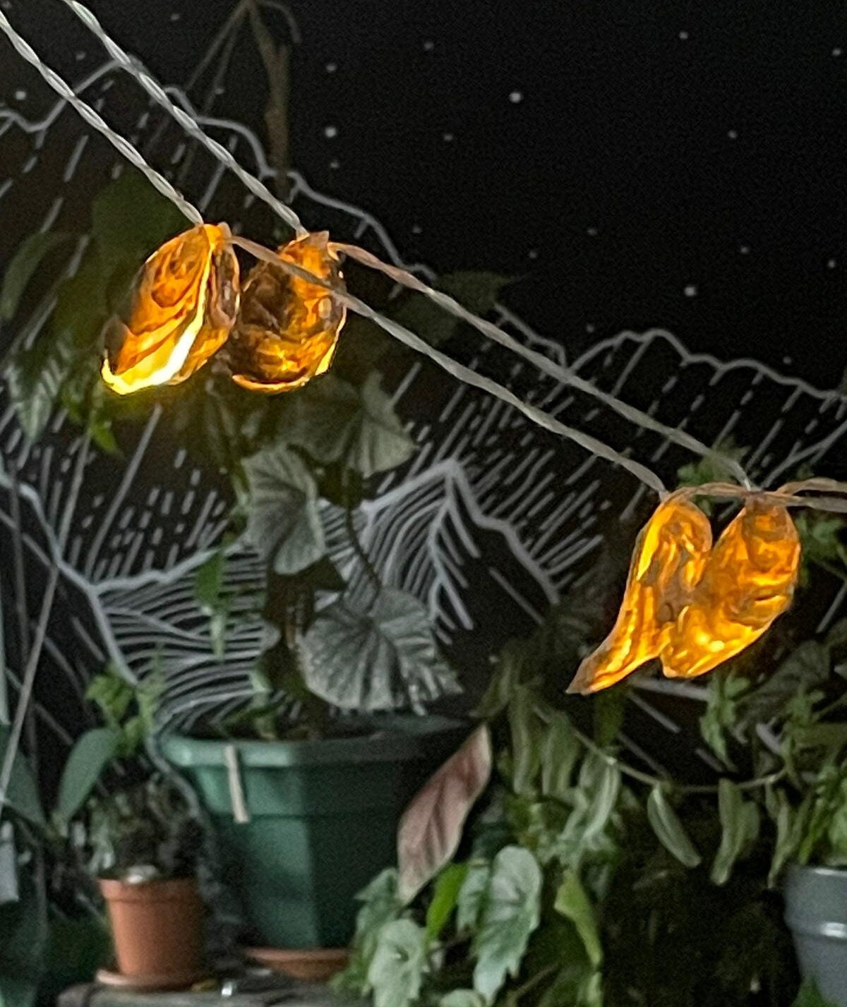 Little Oyster Shell Fairy Lights - Etsy