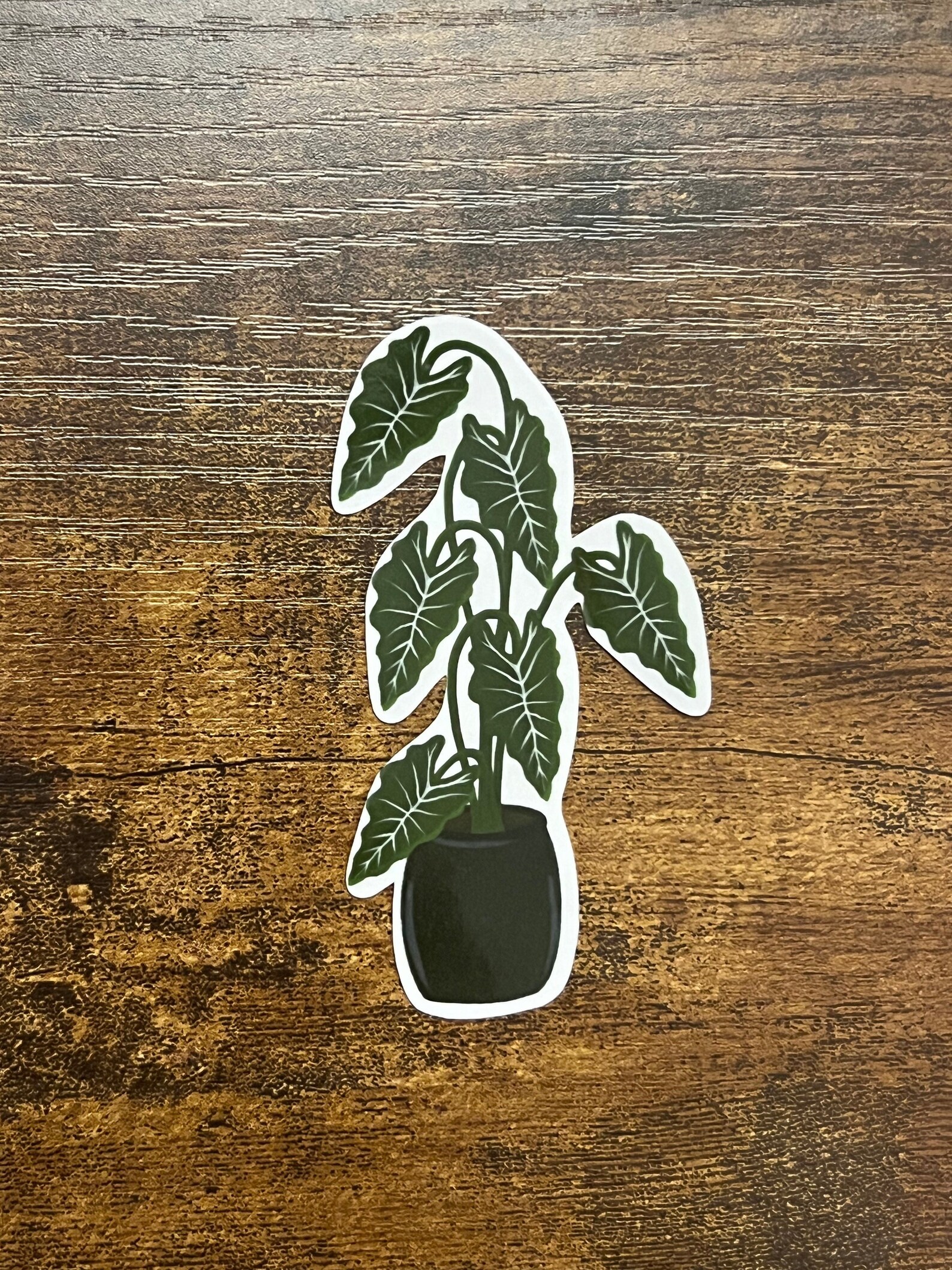 Alocasia Frydek Plant Sticker, Tropical Foliage Plant Sticker, House ...