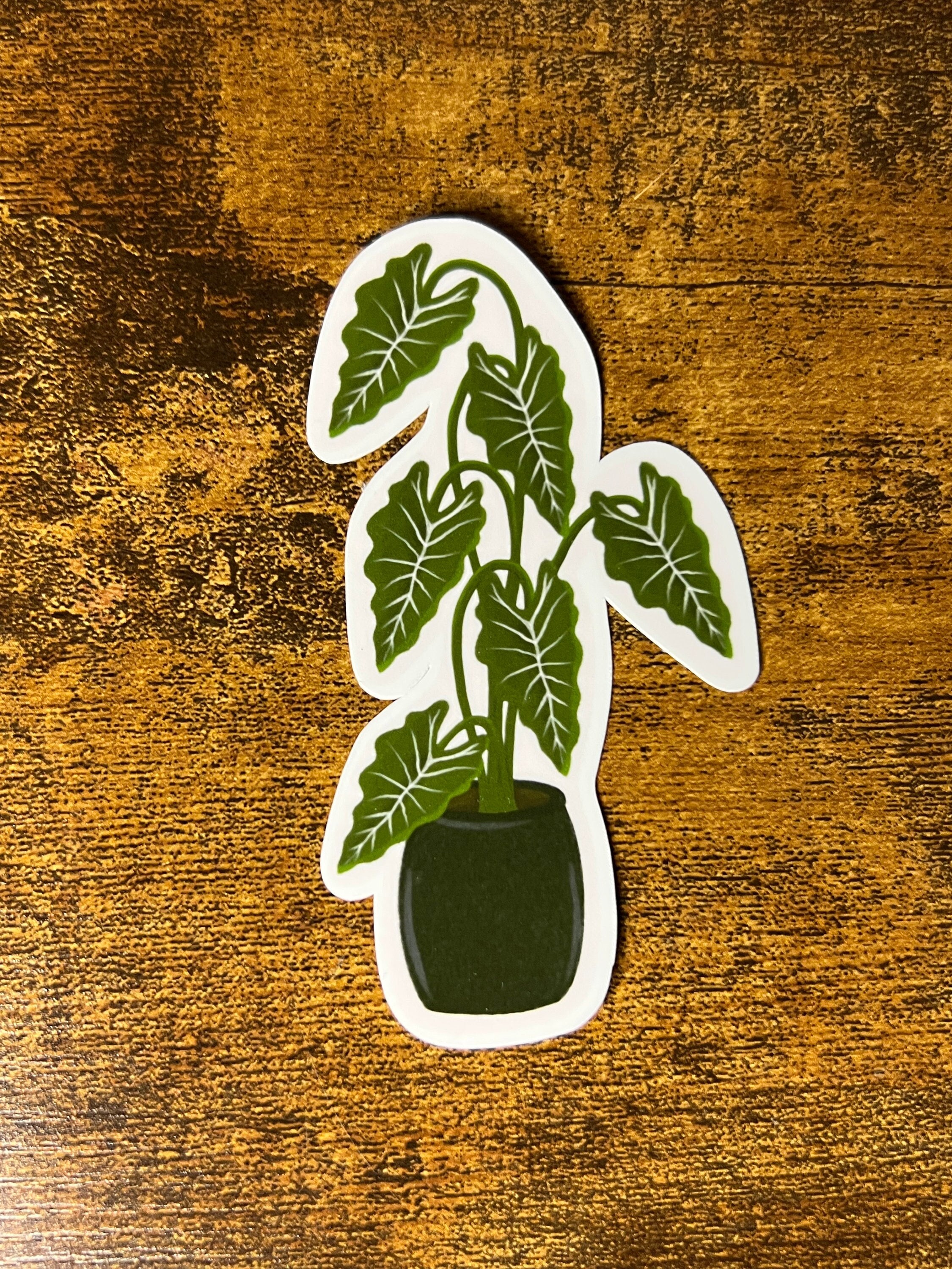 Alocasia Frydek Plant Sticker, Tropical Foliage Plant Sticker, House ...