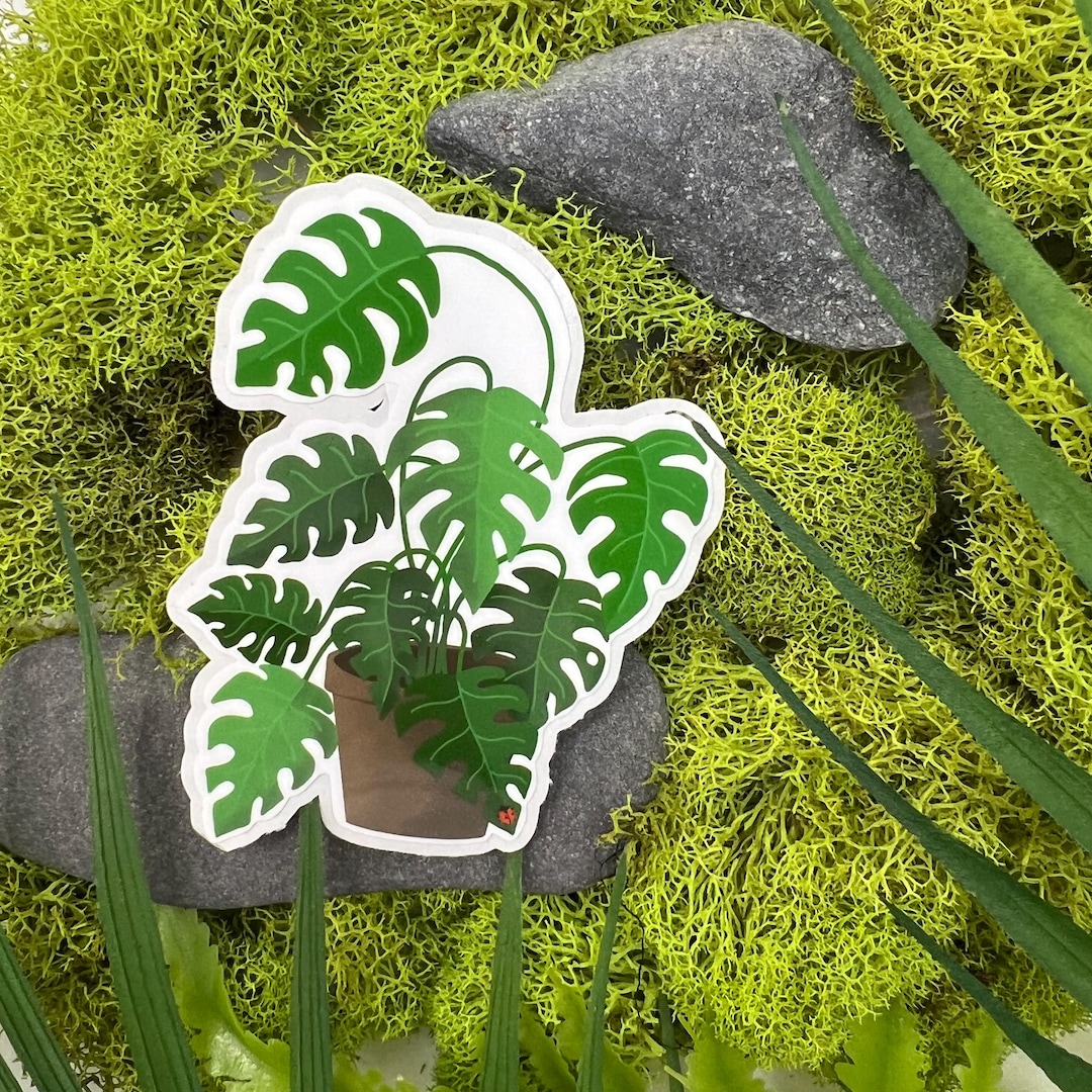 Monstera Plant Sticker, Tropical Plant Lover Sticker, Plant Gift ...