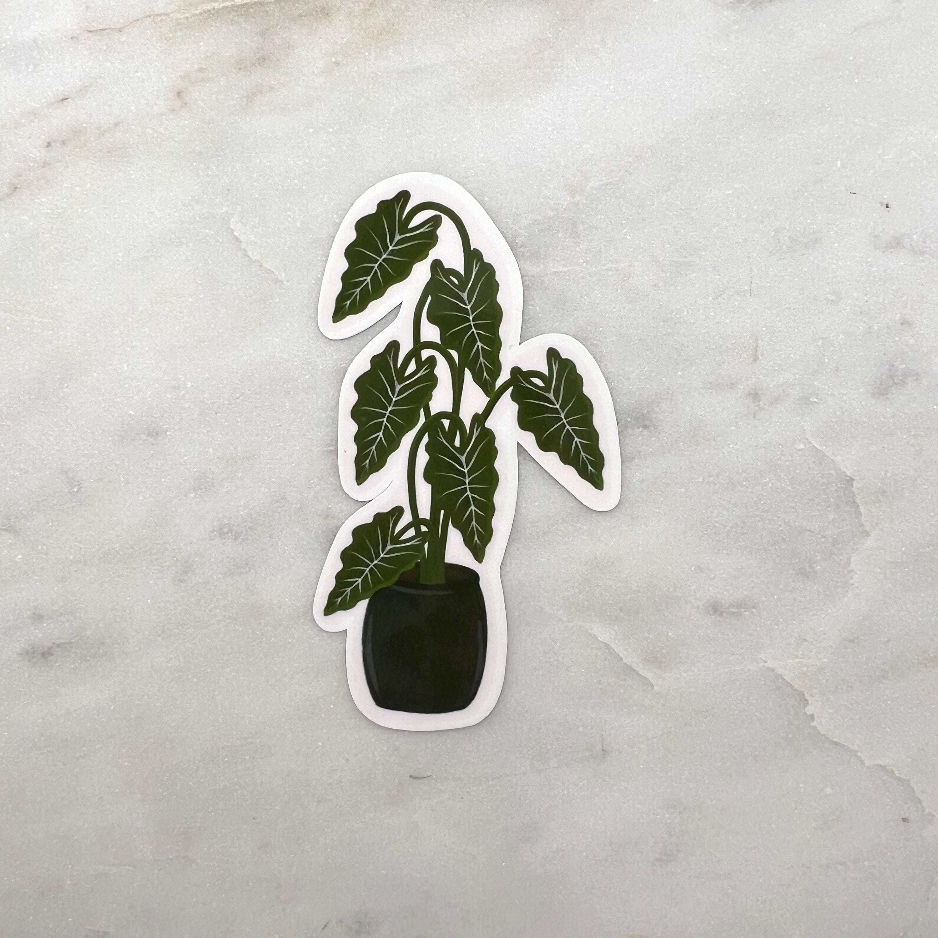 Alocasia Frydek Plant Sticker, Tropical Foliage Plant Sticker, House ...