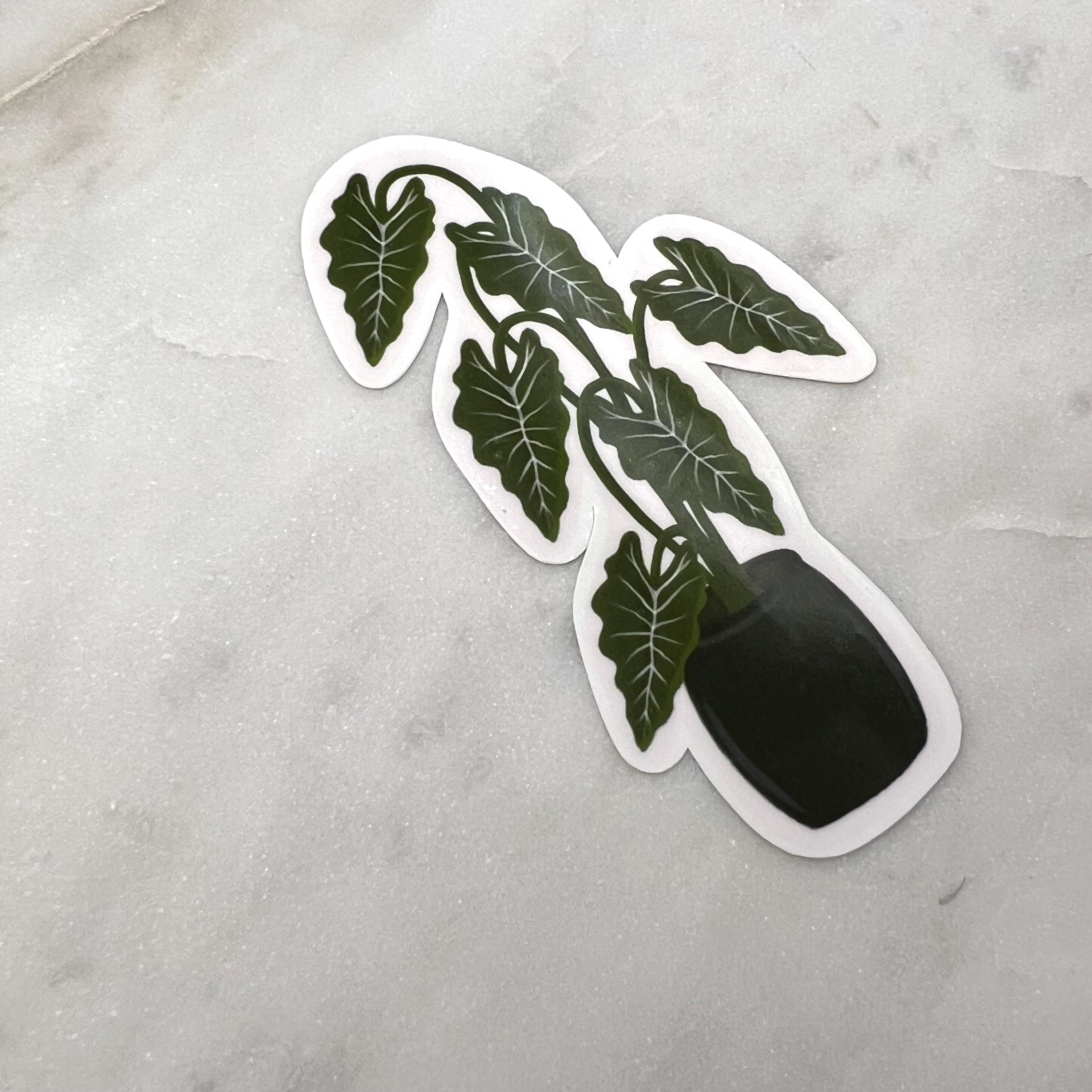 Alocasia Frydek Plant Sticker, Tropical Foliage Plant Sticker, House ...
