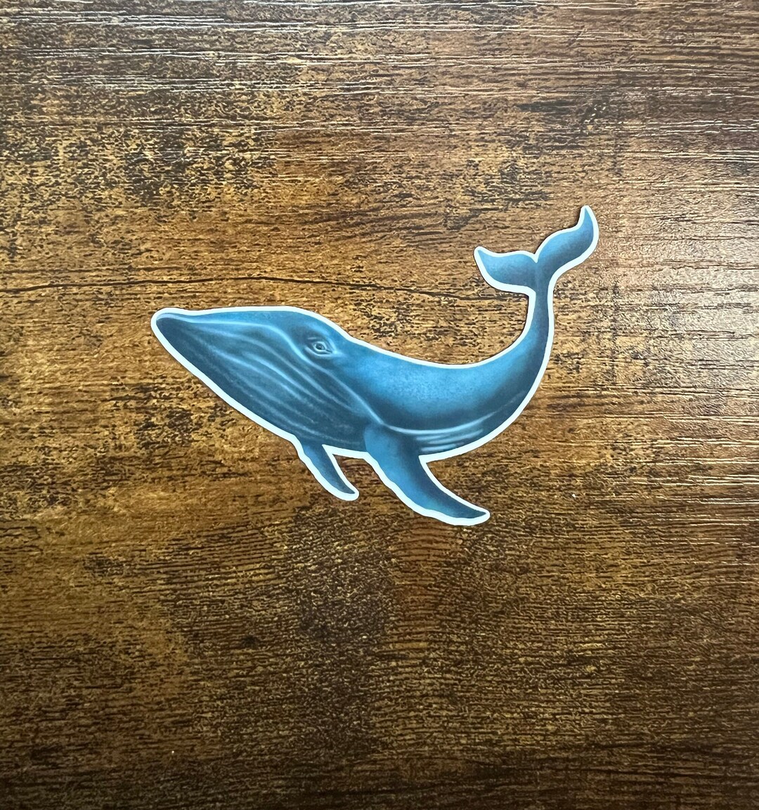 Humpback Whale Sticker, Whale Sticker, Sticker - Etsy