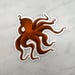 Giant Pacific Octopus Sticker, Ocean Themed Octopus Sticker, Marine ...
