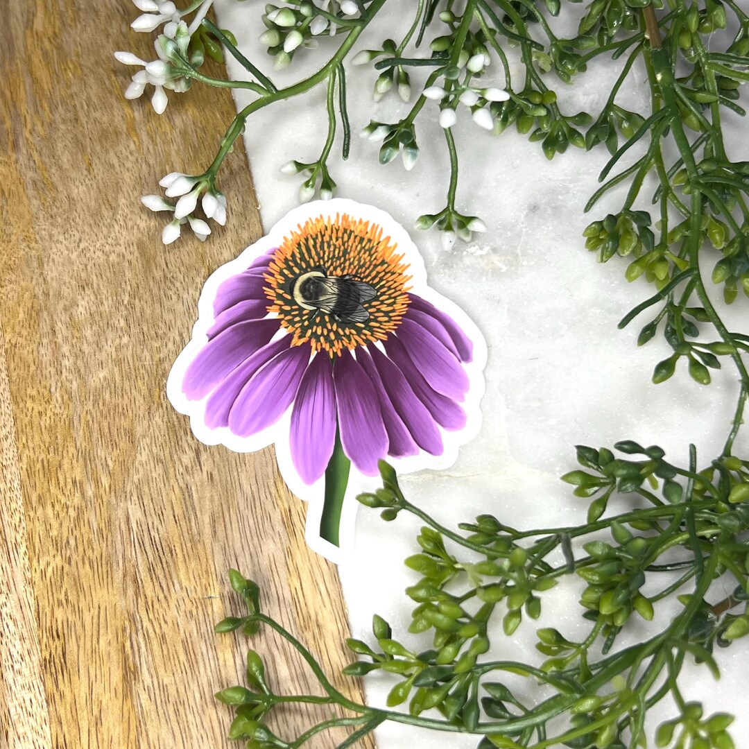 Purple Coneflower Bumble Bee Nature Sticker, Botanical Floral Sticker ...
