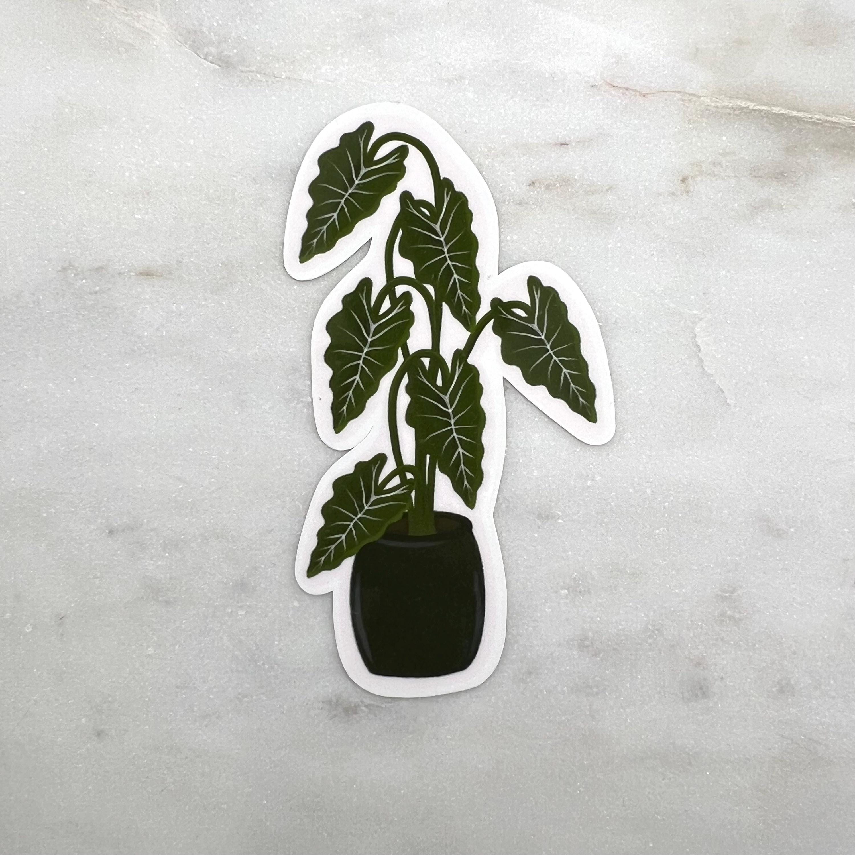 Alocasia Frydek Plant Sticker, Tropical Foliage Plant Sticker, House ...
