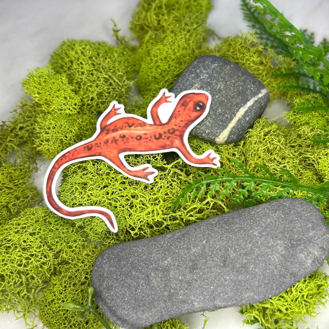 Charming Red Spotted Newt Watercolor Sticker, Nature-inspired Art ...