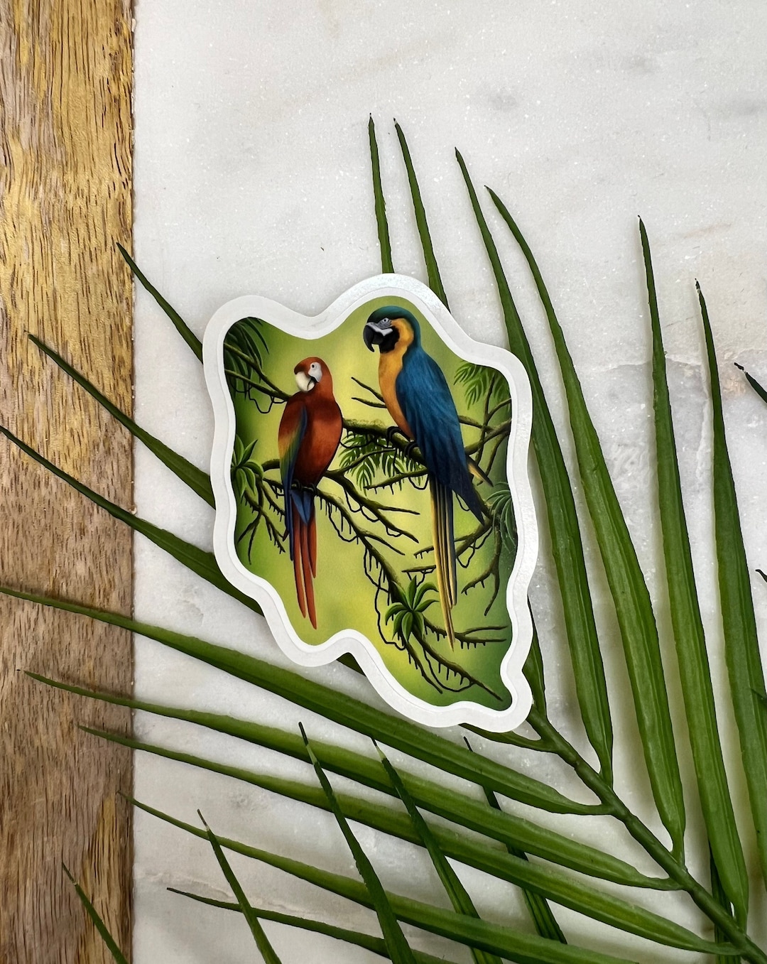 Pair of Macaw Parrots Sticker, Tropical Bird Art Sticker, Macaw Parrot ...