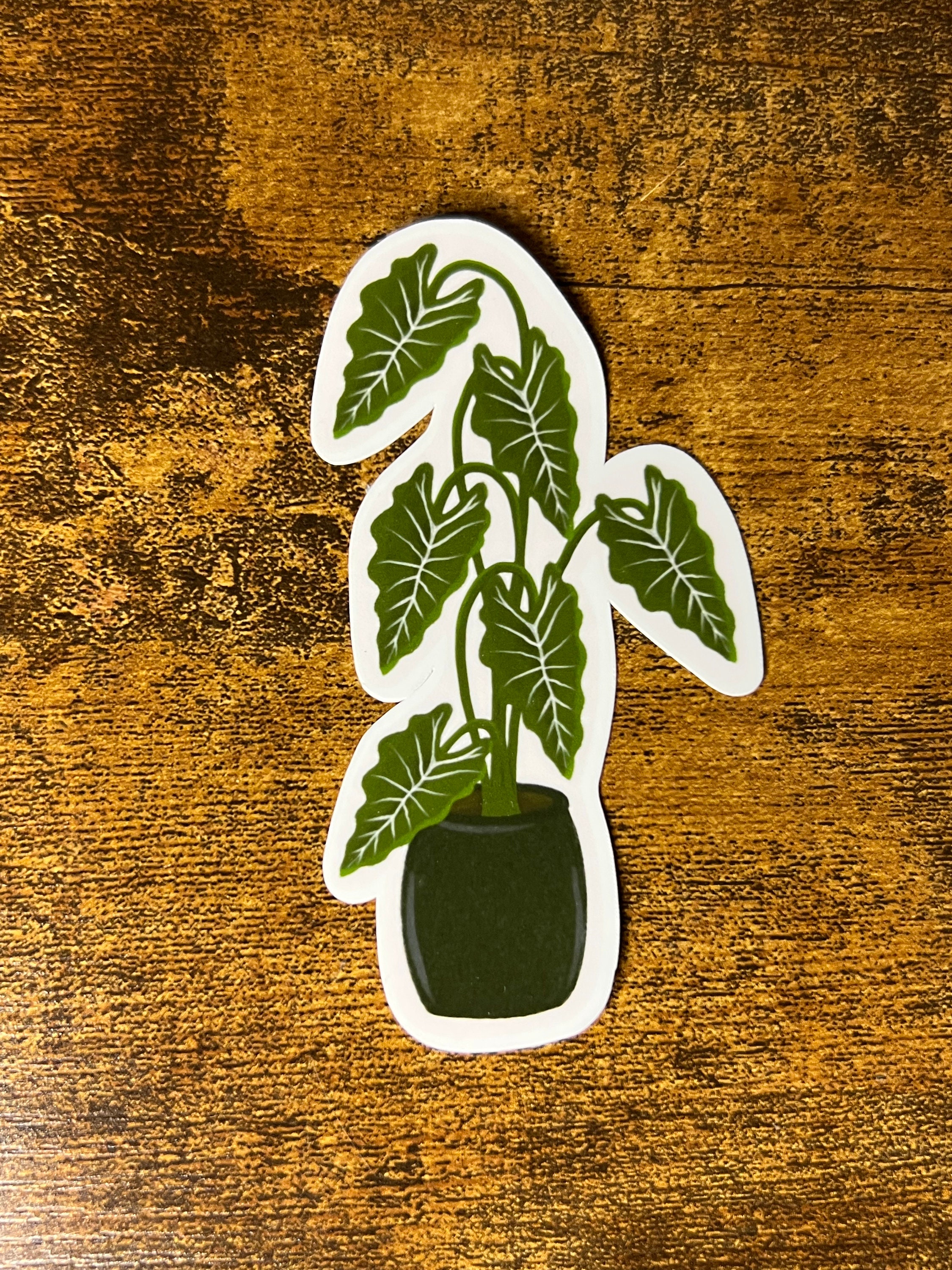 Alocasia Frydek Plant Sticker, Tropical Foliage Plant Sticker, House Plant Sticker, Plant Lover ...