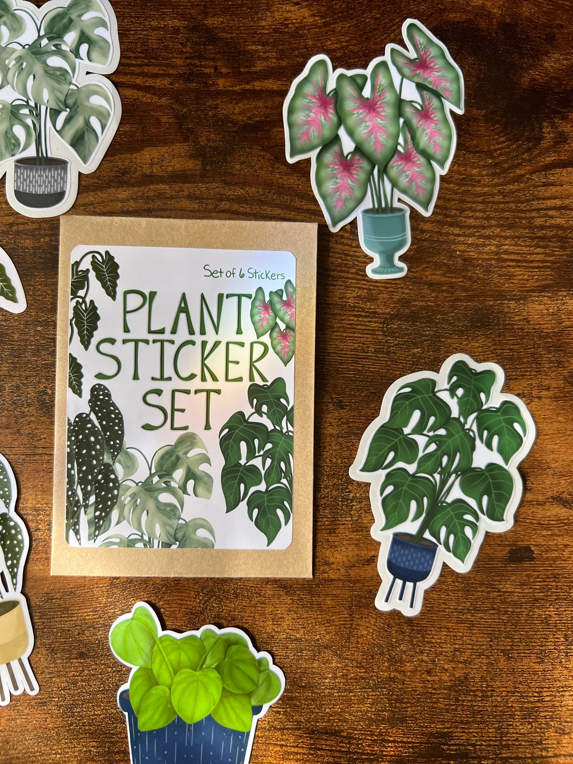 Plant Sticker Pack Set of 6 Stickers, Monstera Alocosia Peperomia Plant ...