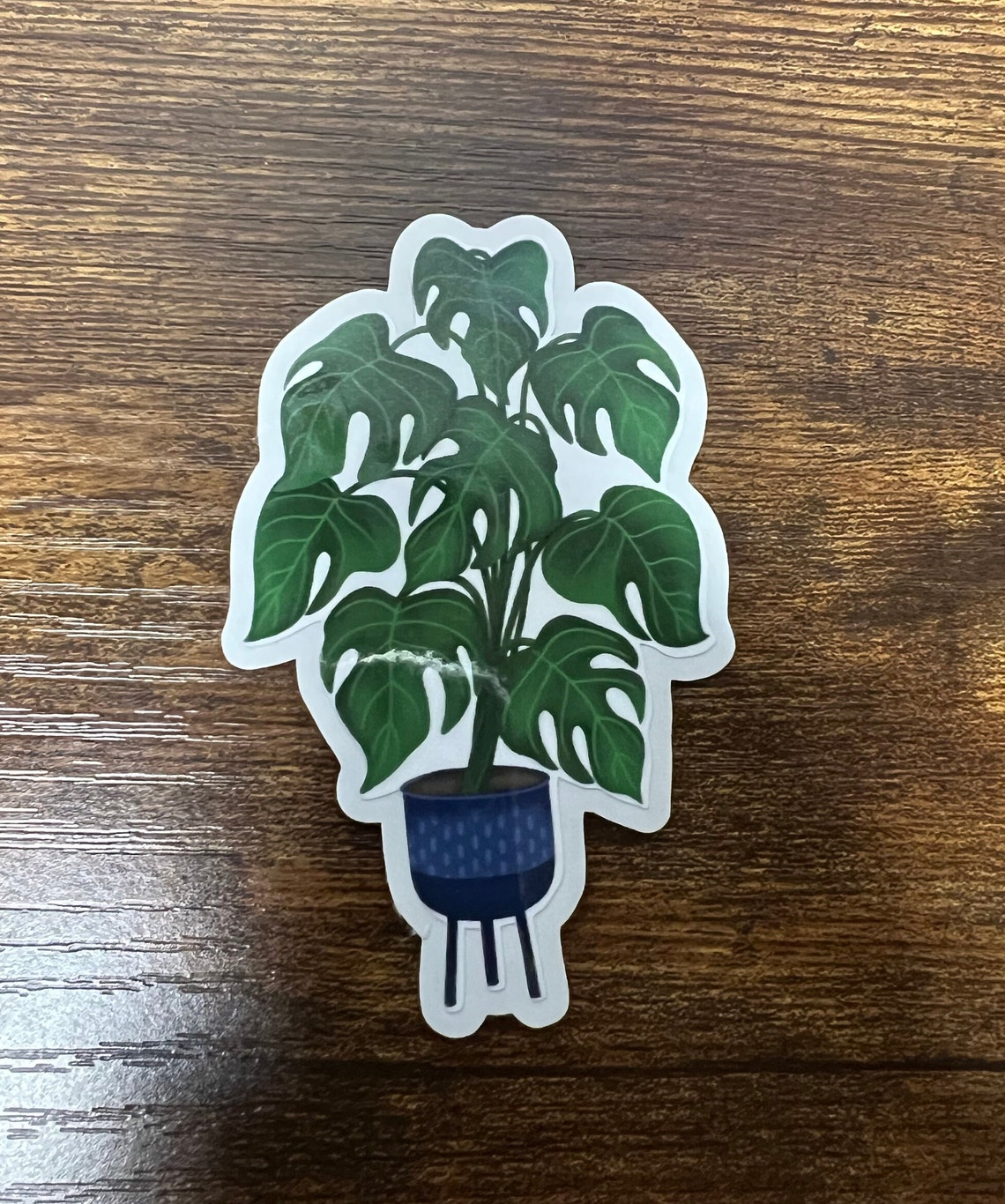 Monstera Plant Sticker, Monstera Sticker, Monstera, Monstera Plant ...