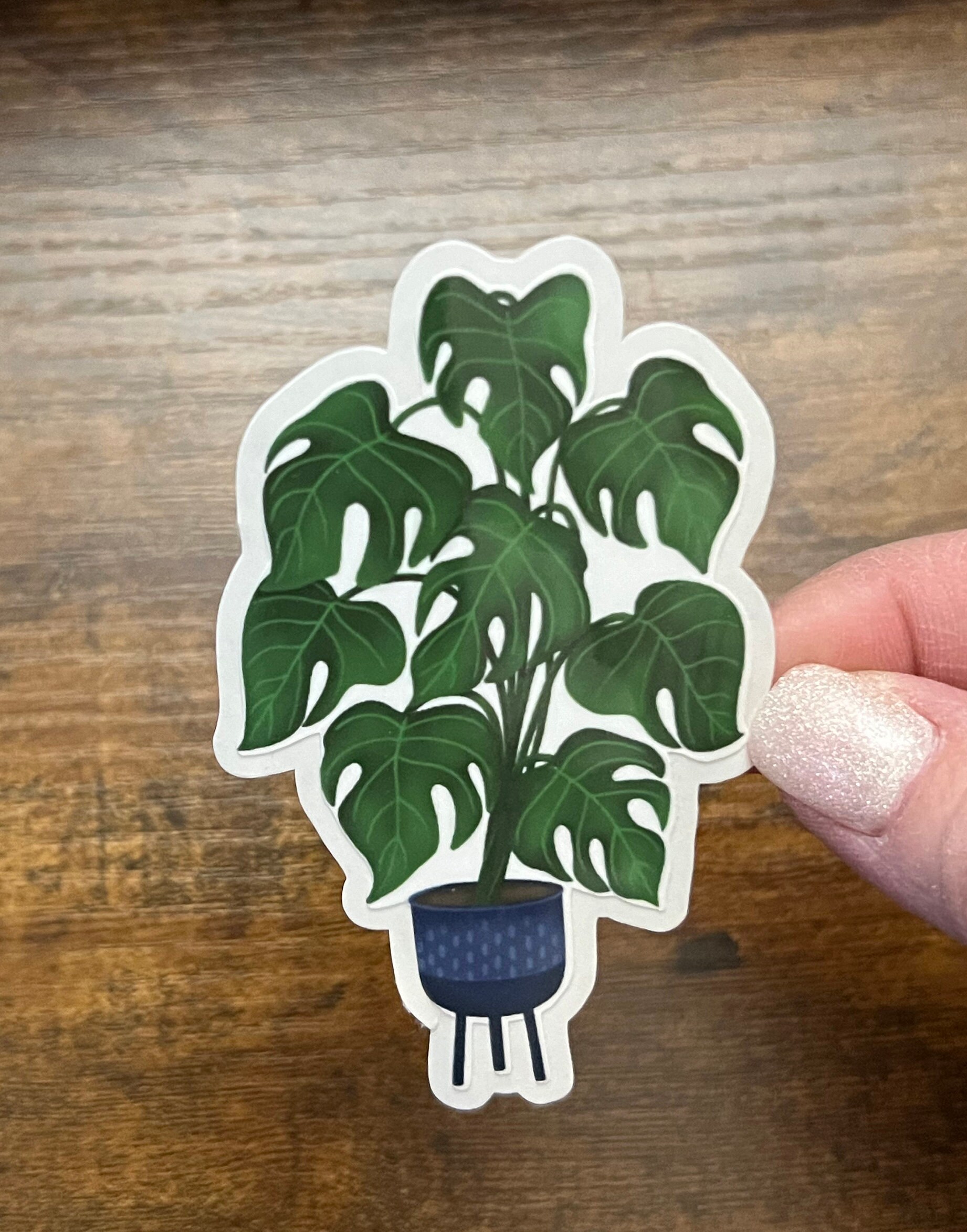 Monstera Plant Sticker, Monstera Sticker, Monstera, Monstera Plant ...