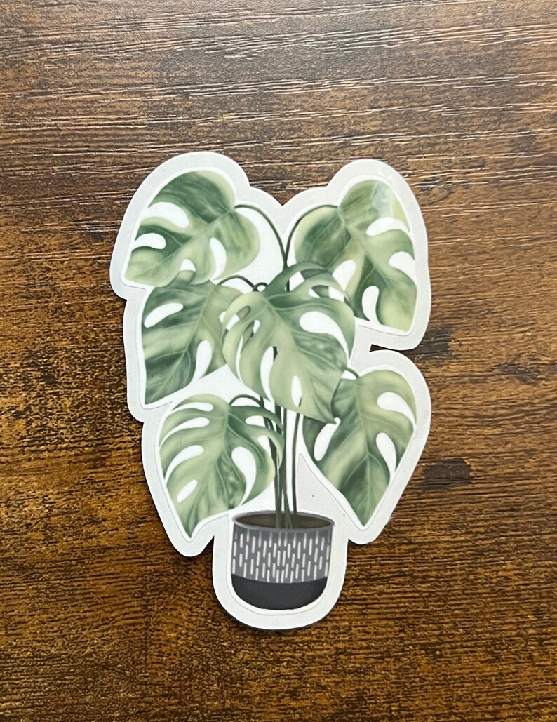 Monstera Variegated Plant Sticker, Monstera Sticker, Monstera, Monstera ...