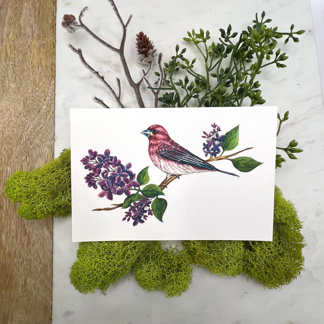 Purple Lilac Flowers and Finch Watercolor Art Print, Lilac and Purple ...
