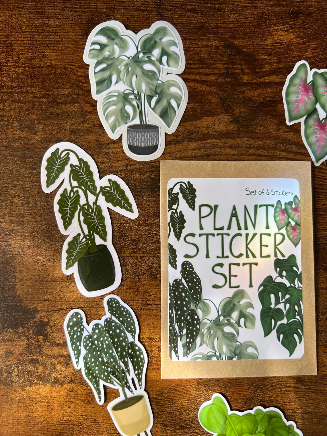 Plant Sticker Pack Set of 6 Stickers, Monstera Alocosia Peperomia Plant ...