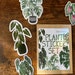 Plant Sticker Pack Set of 6 Stickers, Monstera Alocosia Peperomia Plant ...