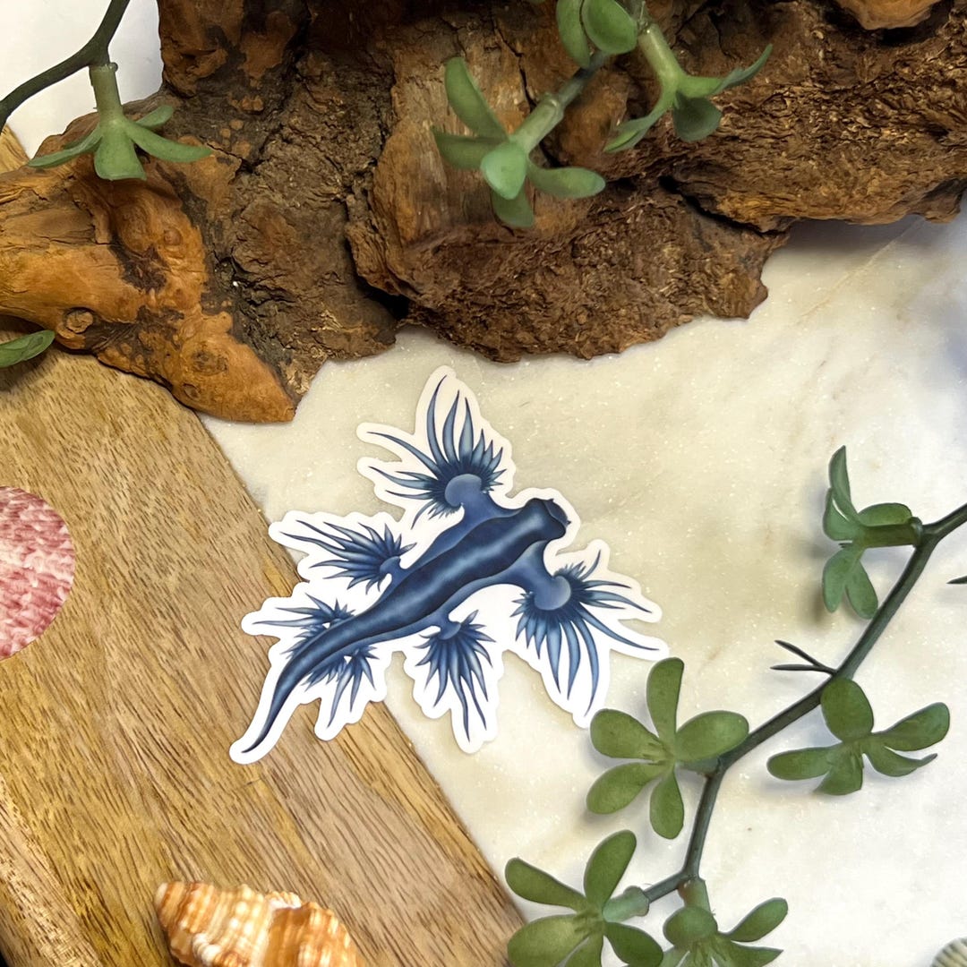 Blue Dragon Sea Slug Sticker, Ocean Themed Sea Slug Sticker, Glaucus ...