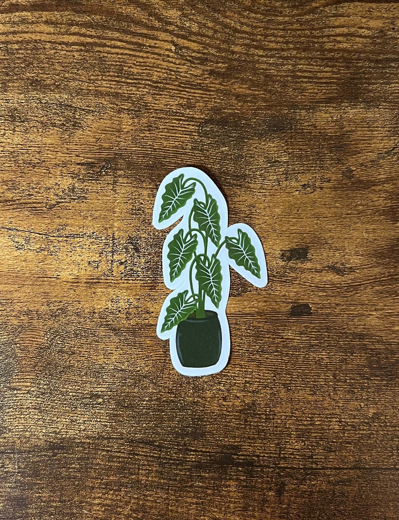 Alocasia Frydek Plant Sticker, Tropical Foliage Plant Sticker, House ...