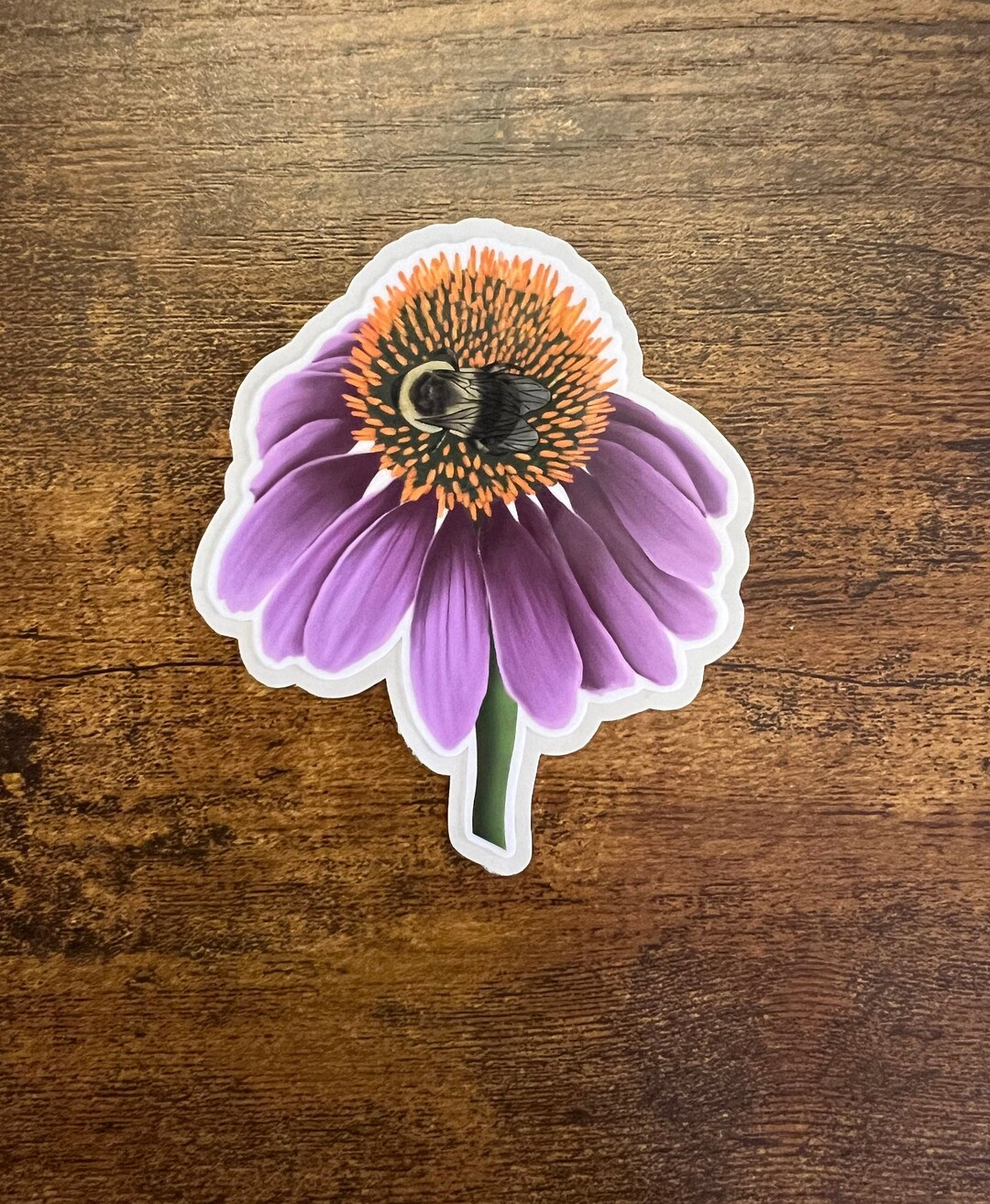 Purple Coneflower and Bumble Bee Sticker, Flower Sticker, Bee Sticker ...