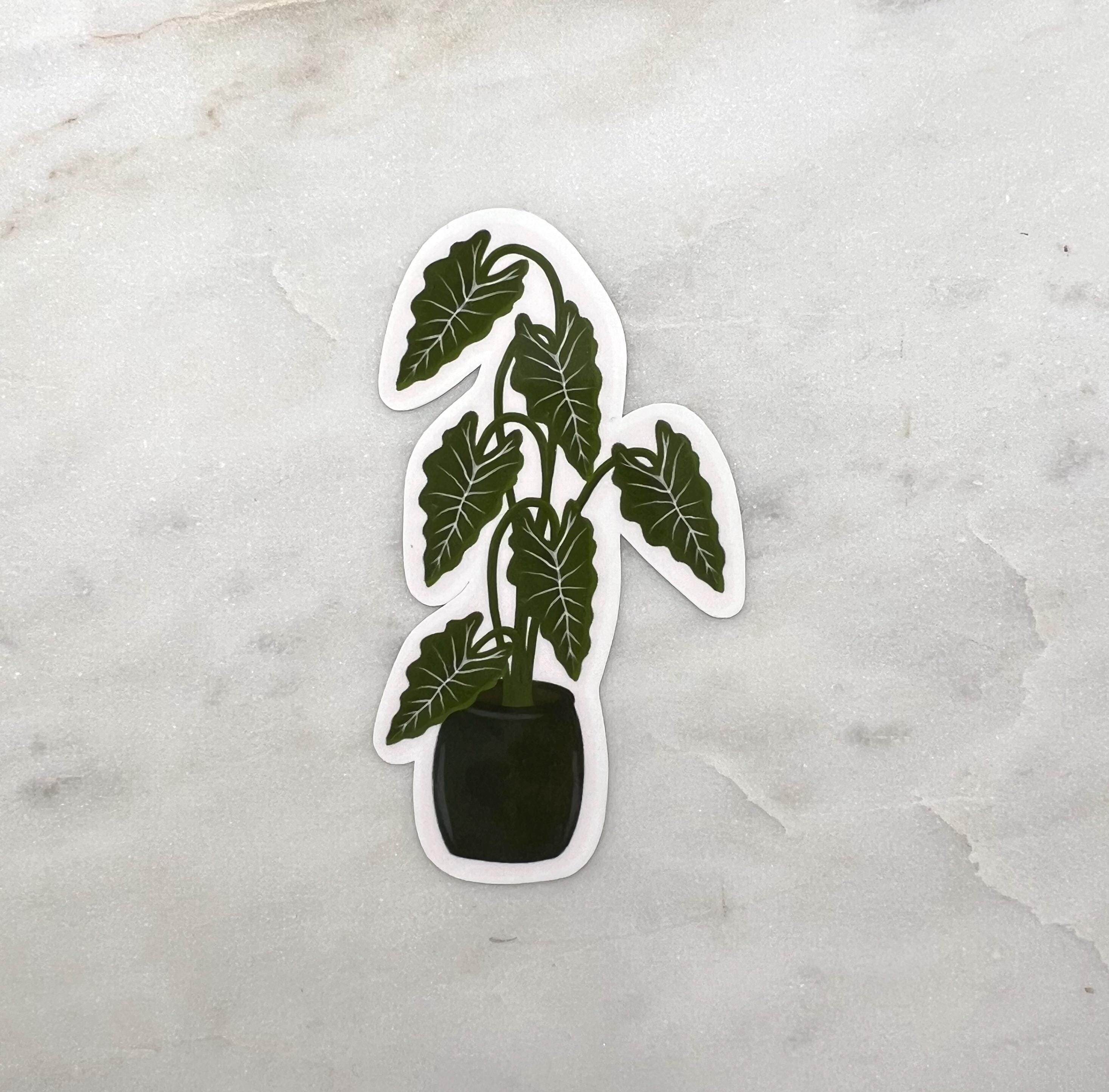 Alocasia Frydek Plant Sticker, Tropical Foliage Plant Sticker, House ...