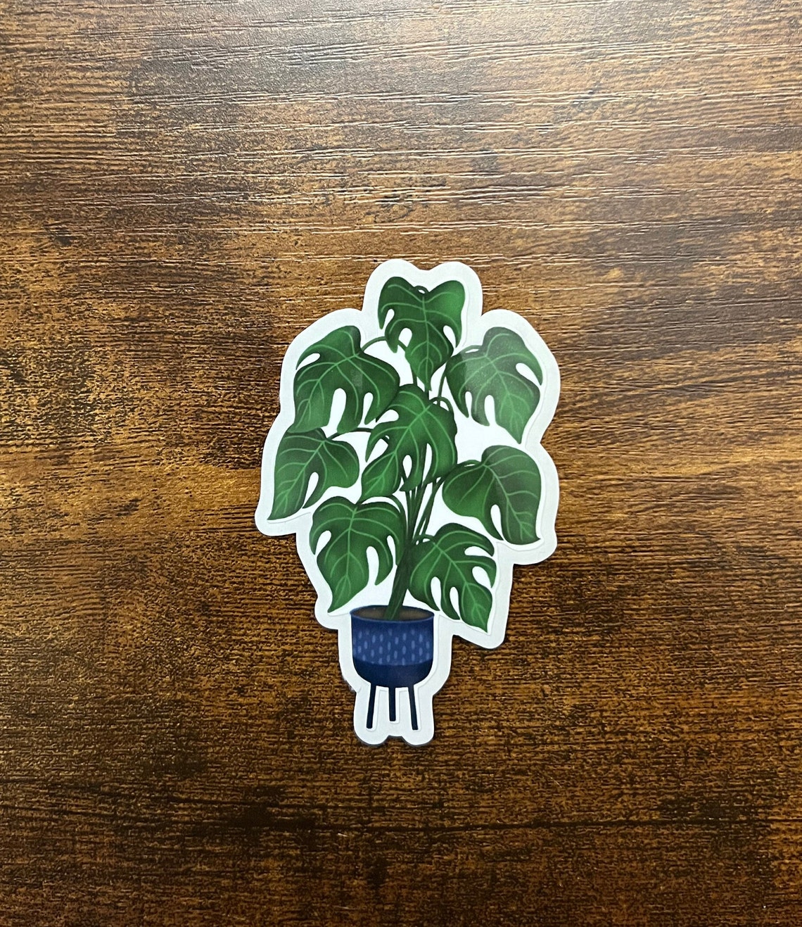 Monstera Plant Sticker, Monstera Sticker, Monstera, Monstera Plant ...