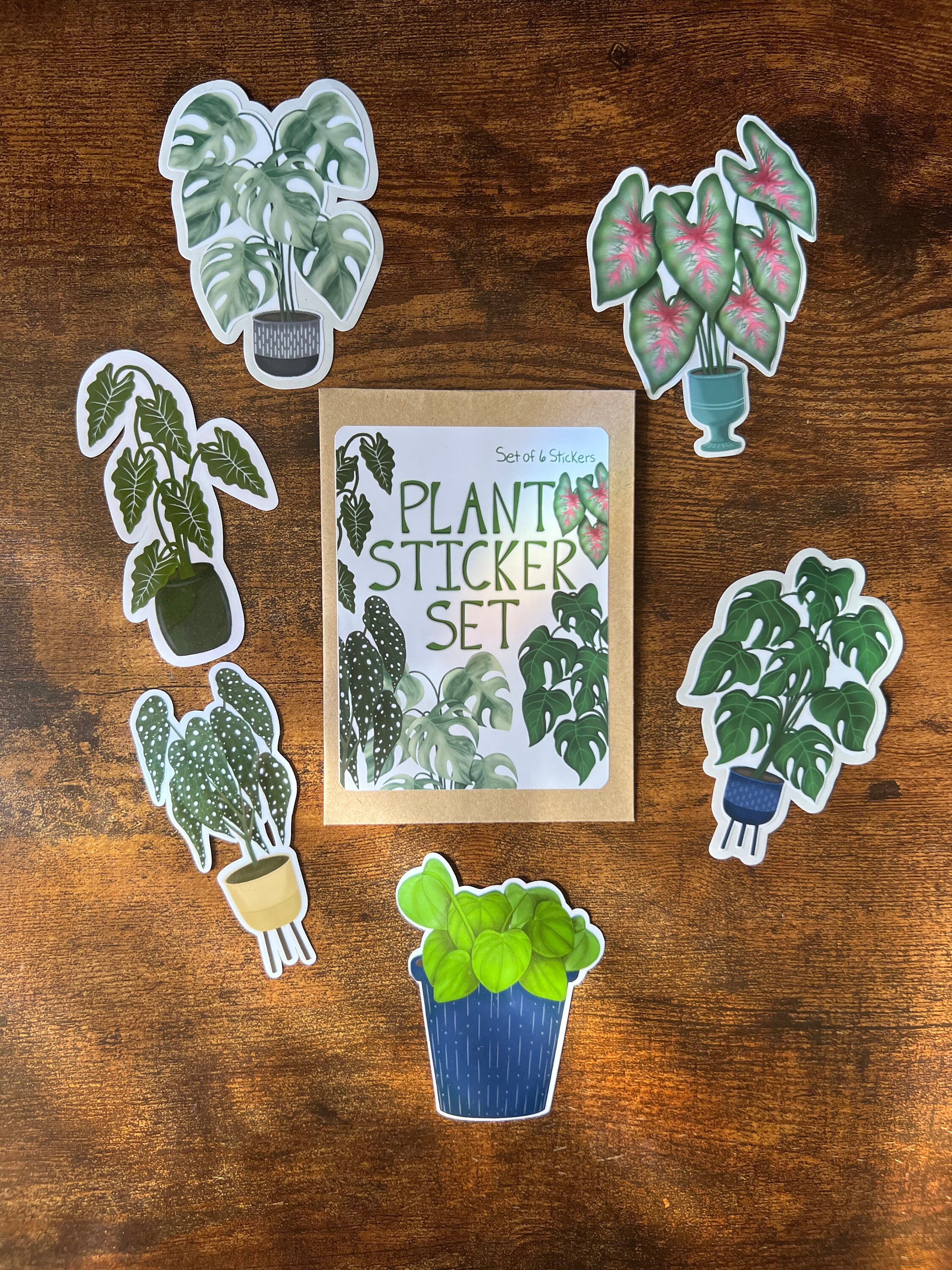 Plant Sticker Pack Set of 6 Stickers, Monstera Alocosia Peperomia Plant ...