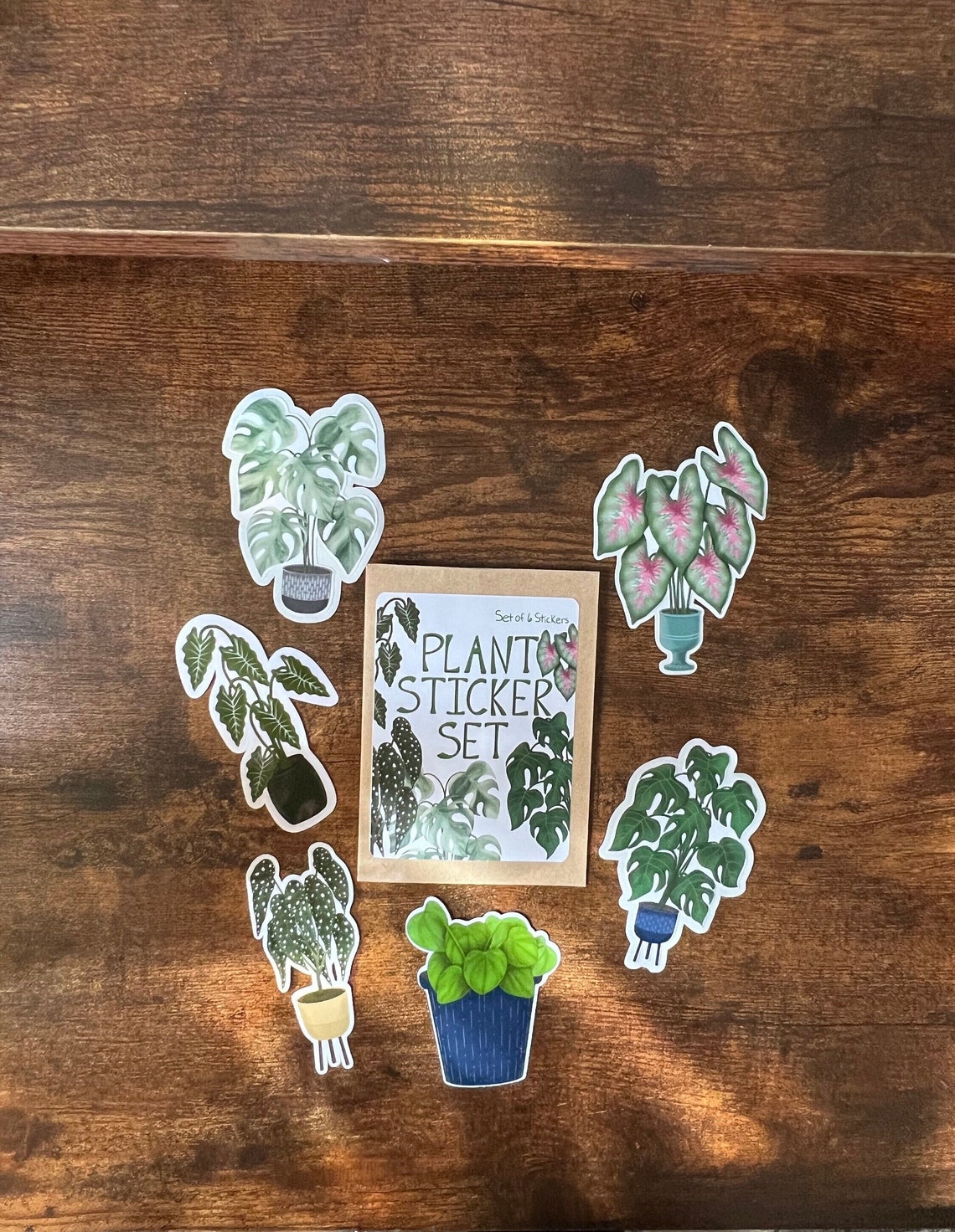 Plant Sticker Pack Set of 6 Stickers, Monstera Alocosia Peperomia Plant ...