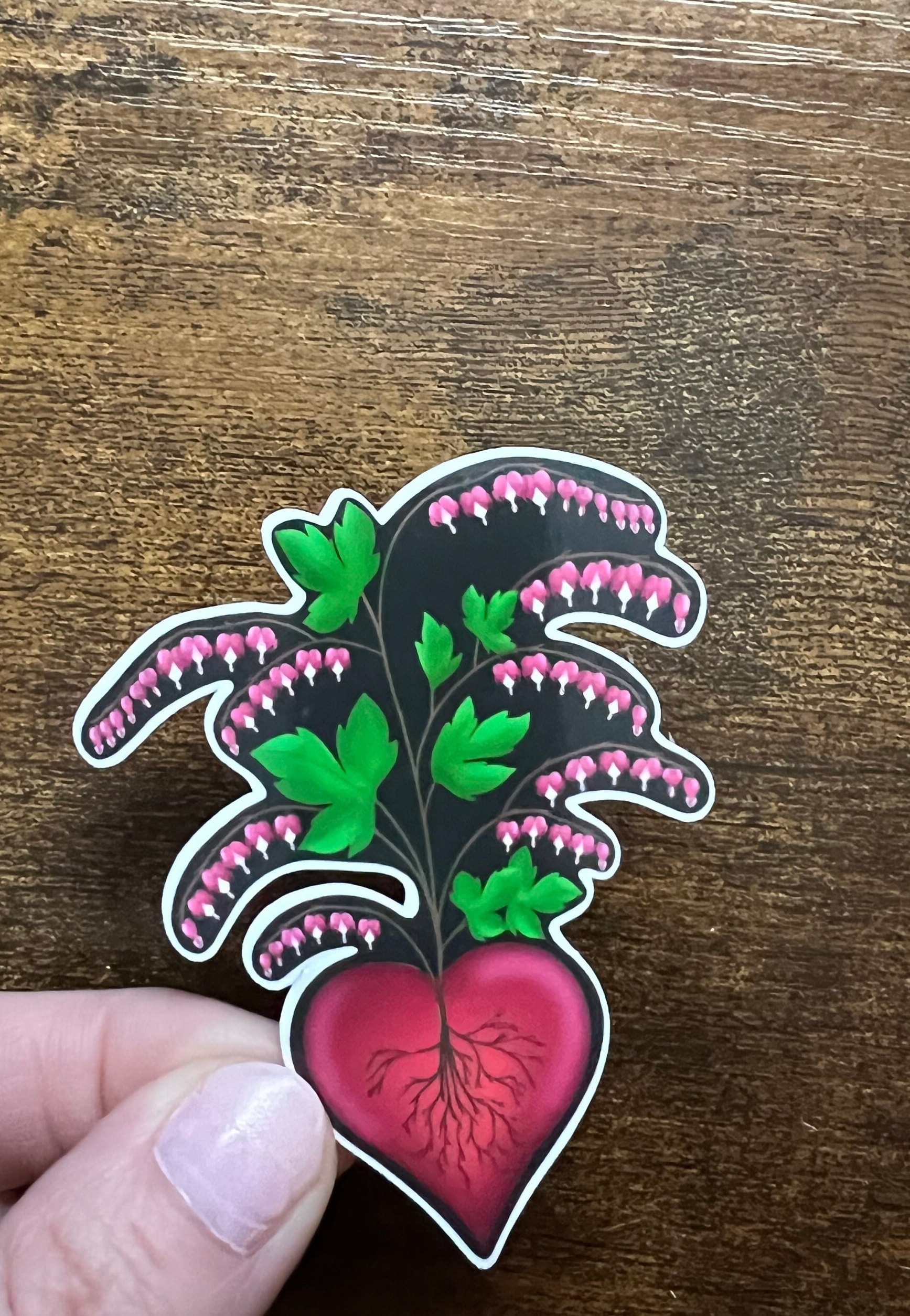 Bleeding Heart Flower Plant Sticker, Bleeding Heart Plant Sticker ...