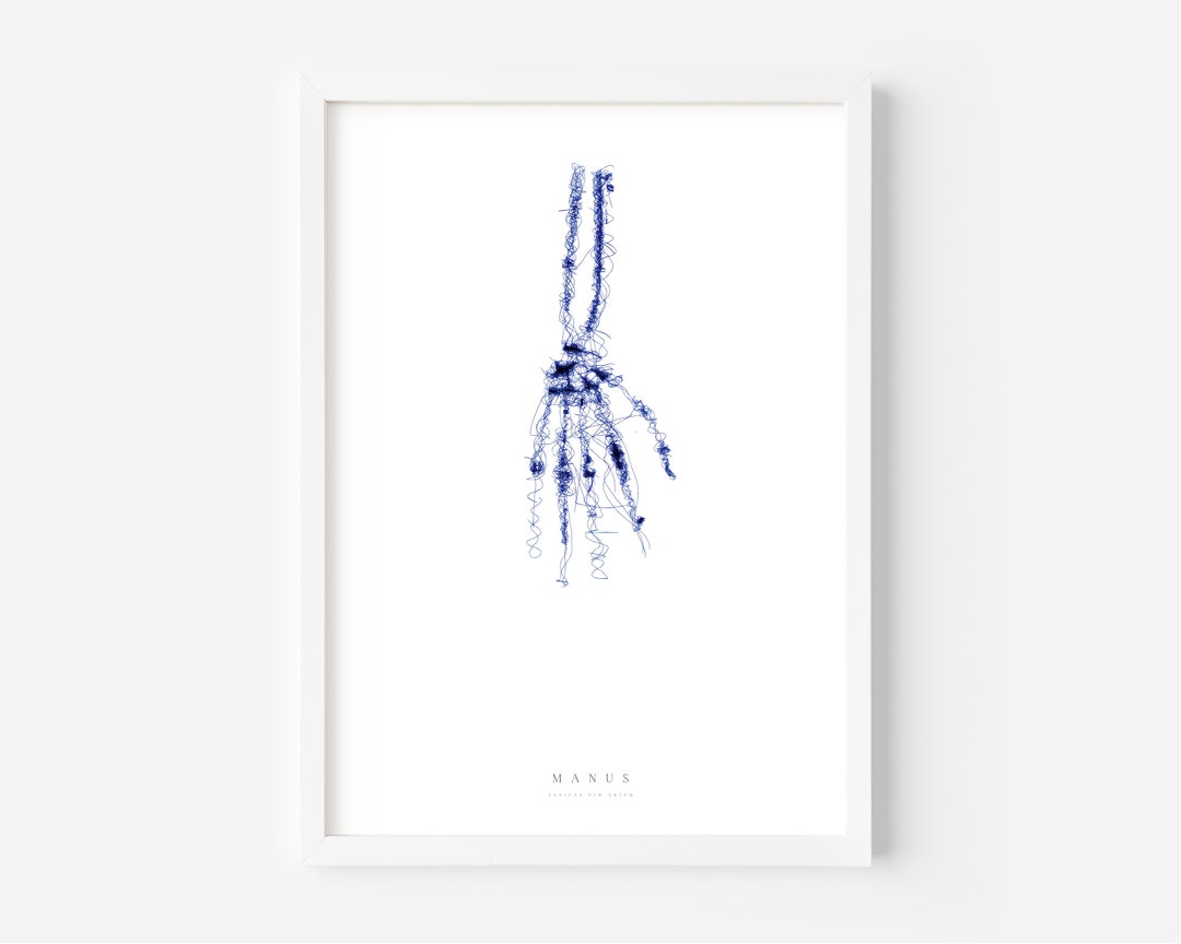 Manus - Hand | Medical Artwork | Anatomy Wall Art - Etsy