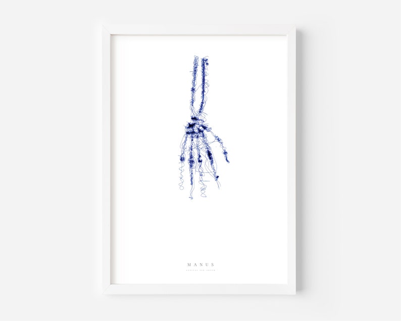 Manus - Hand | Medical Artwork | Anatomy Wall Art - Etsy