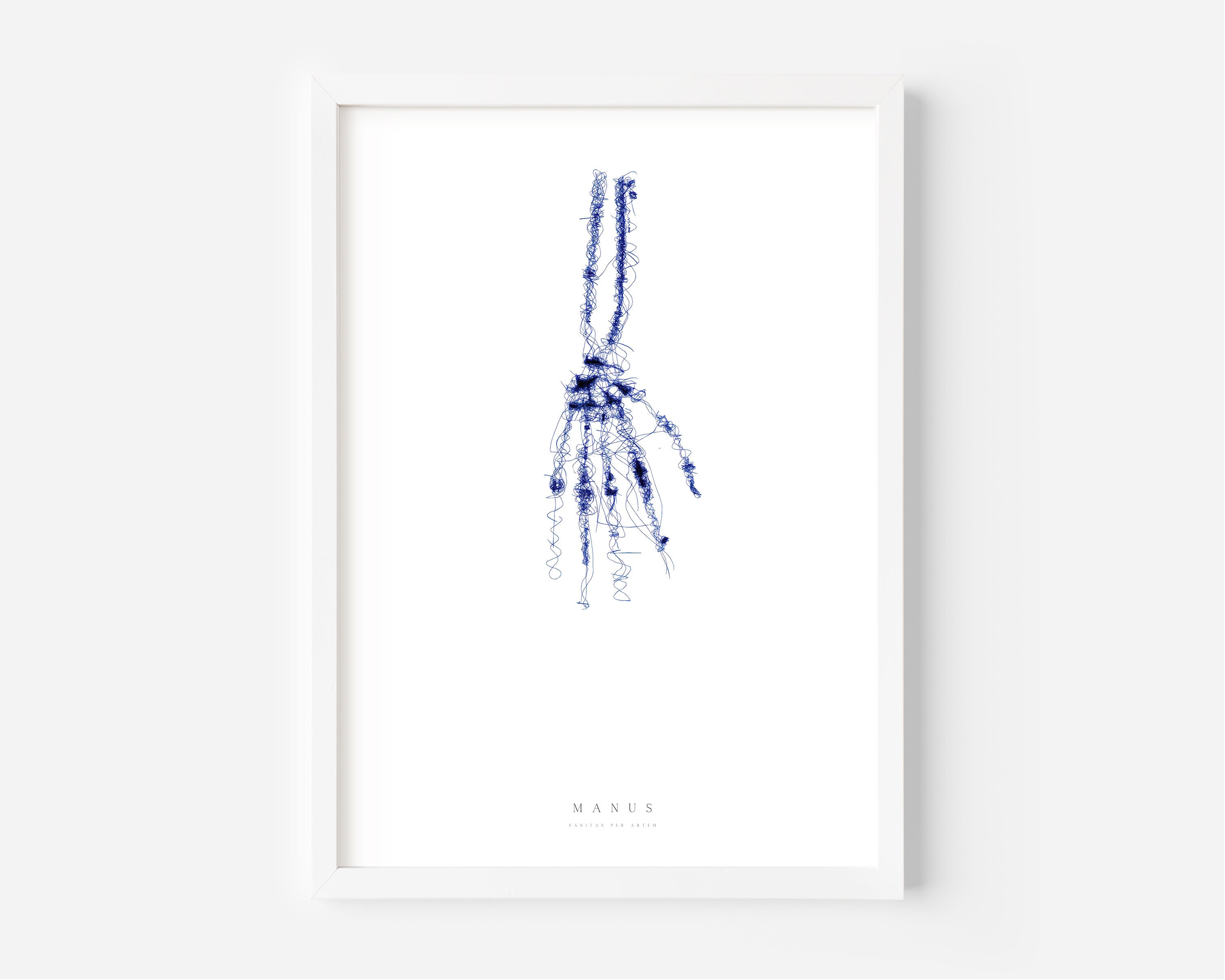 Manus Hand Medical Artwork Anatomy Wall Art - Etsy