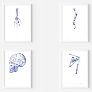 Manus - Hand | Medical Artwork | Anatomy Wall Art - Etsy