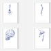 Manus - Hand | Medical Artwork | Anatomy Wall Art - Etsy