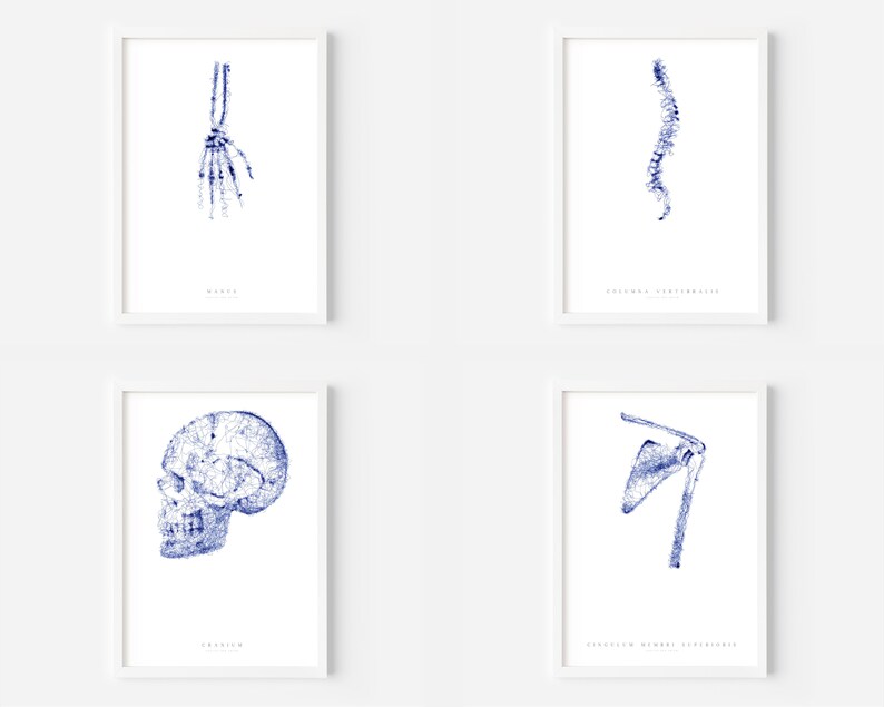 Manus - Hand | Medical Artwork | Anatomy Wall Art - Etsy