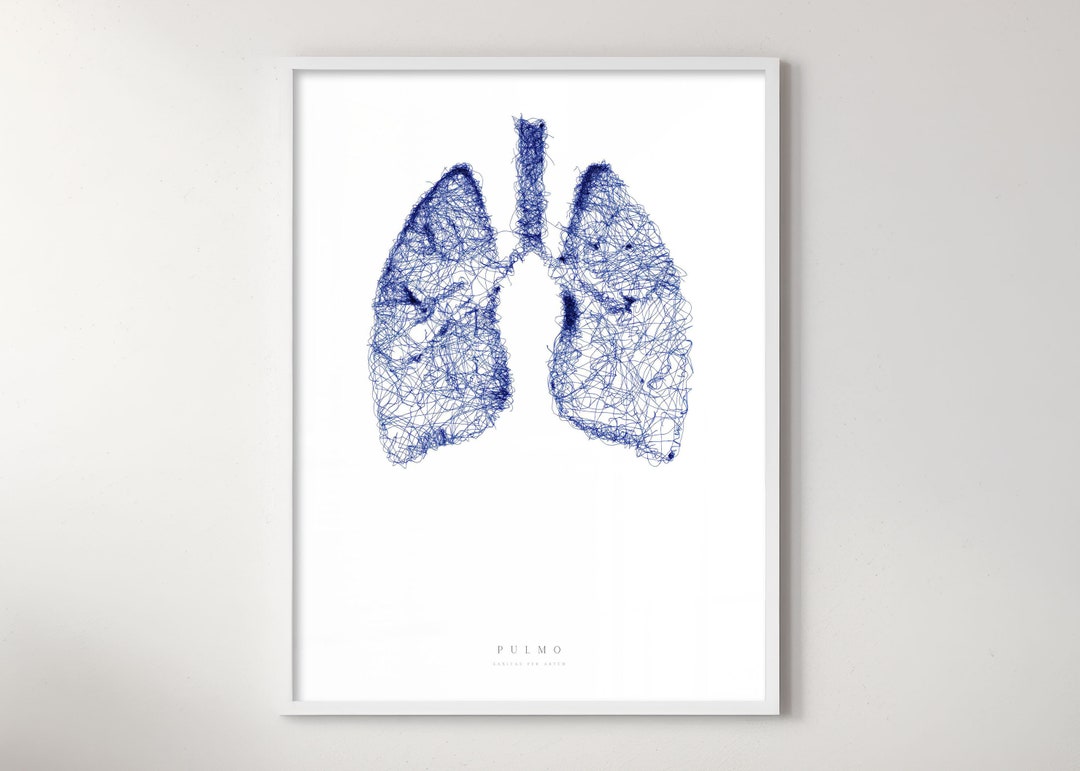 Pulmo - Lungs | Medical Artwork | Anatomy Wall Art - Etsy