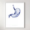 Manus - Hand | Medical Artwork | Anatomy Wall Art - Etsy