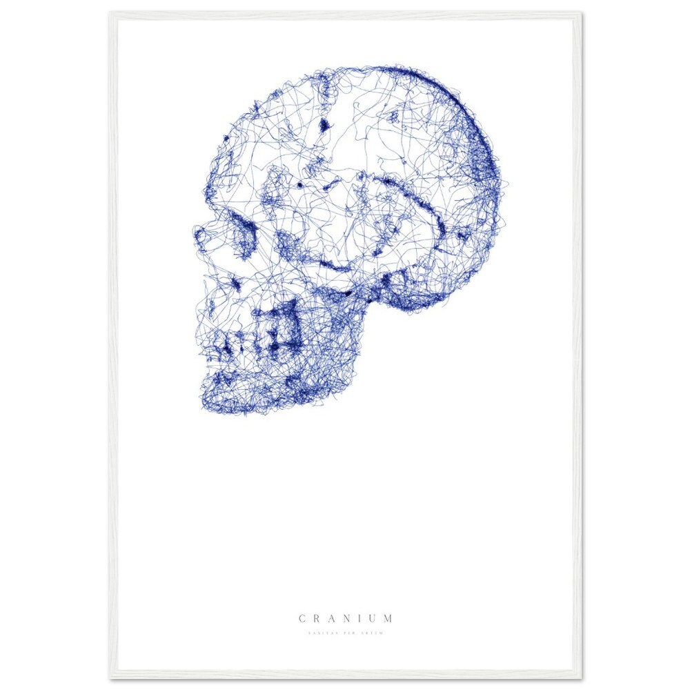 Cranium Skull Medical Artwork Anatomy Wall Art - Etsy