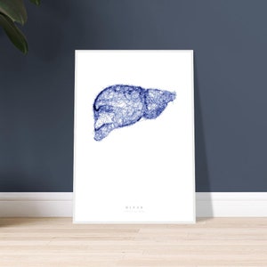 Hepar - Liver | Medical Artwork | Anatomy Wall Art - Etsy