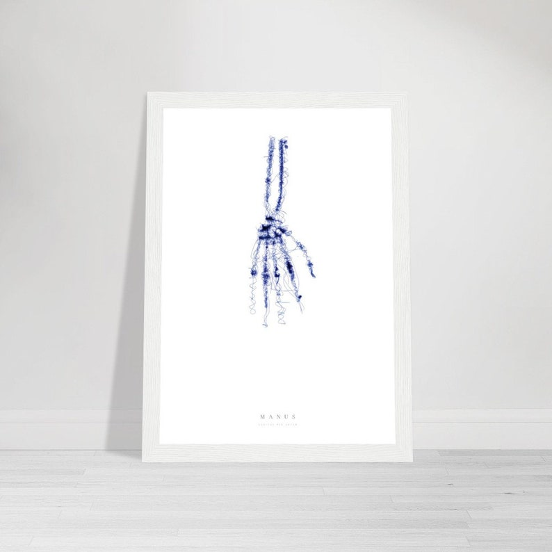 Manus - Hand | Medical Artwork | Anatomy Wall Art - Etsy
