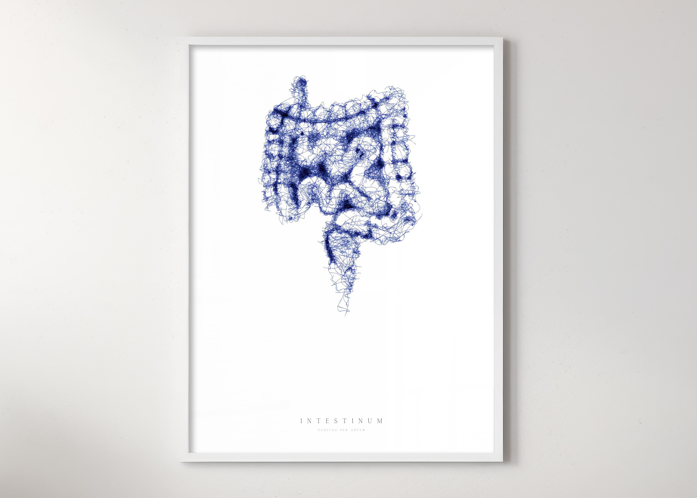 Intestinum Colon Medical Artwork Anatomy Wall Art - Etsy