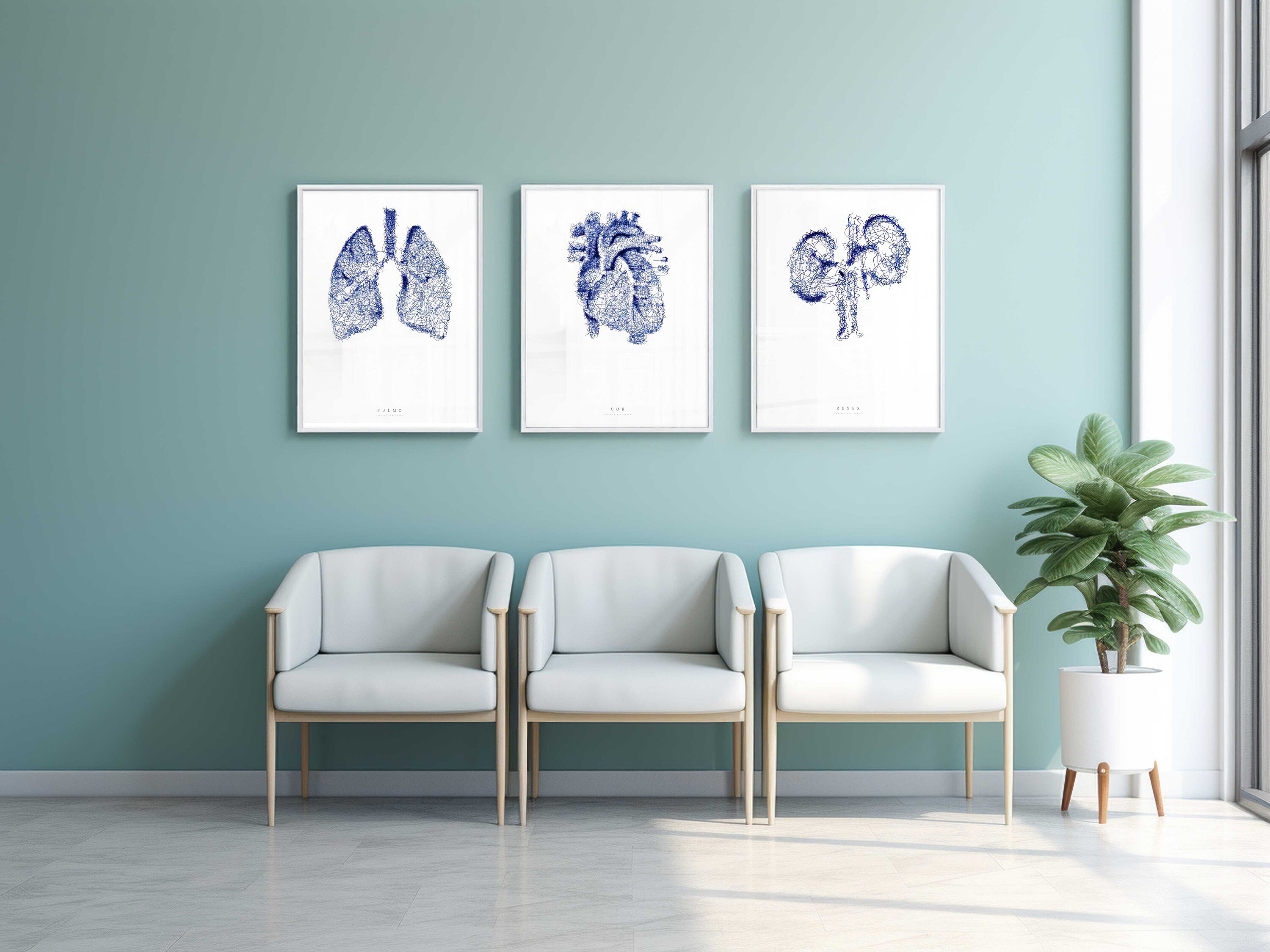 Pulmo Lungs Medical Artwork Anatomy Wall Art - Etsy