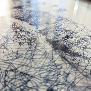 Intestinum Colon Medical Artwork Anatomy Wall Art - Etsy