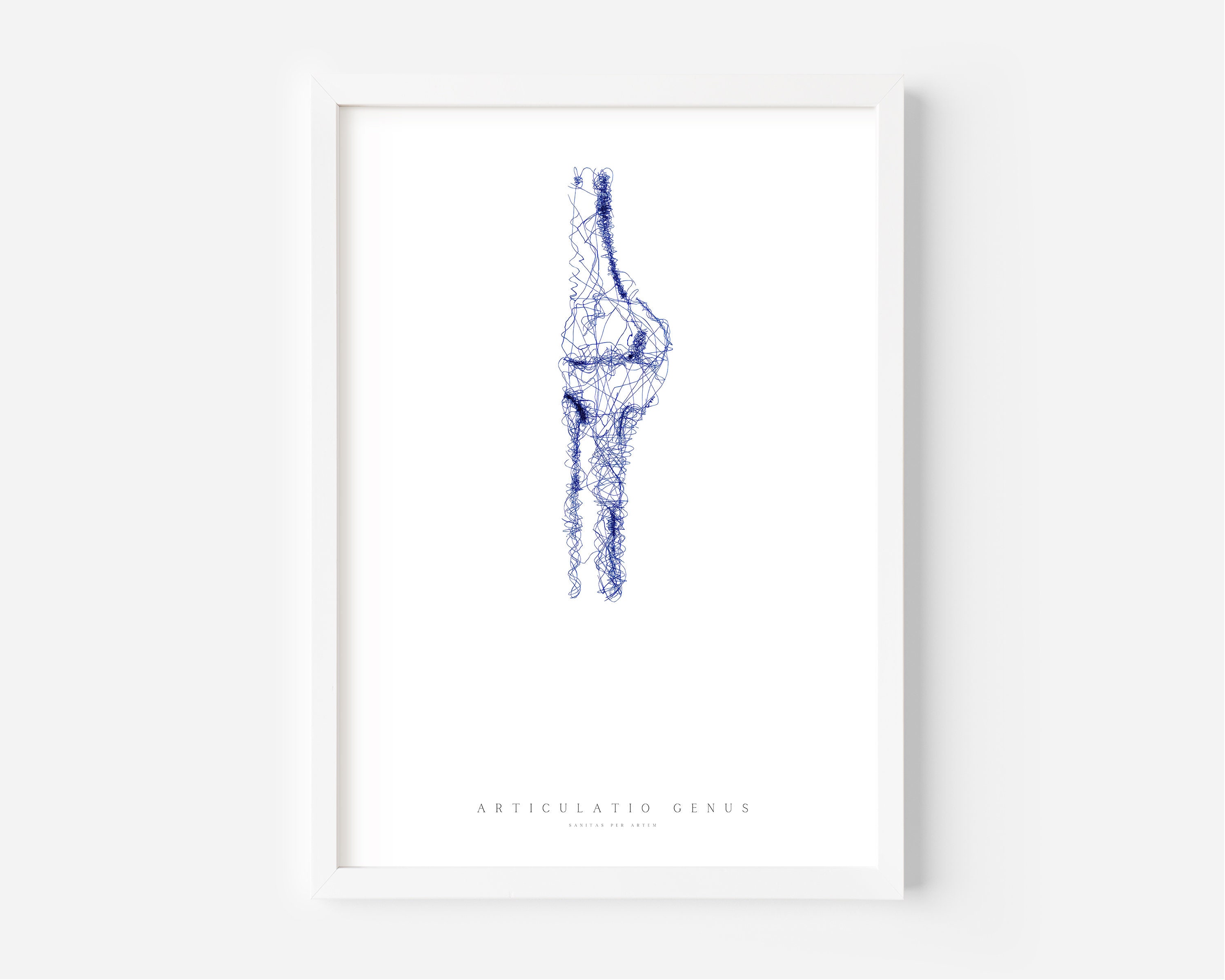 Articulatio Genus Knee Joint Medical Artwork Anatomy Wall Art - Etsy