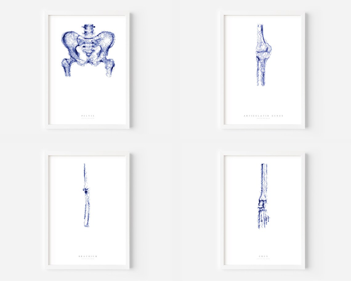 Manus - Hand | Medical Artwork | Anatomy Wall Art - Etsy