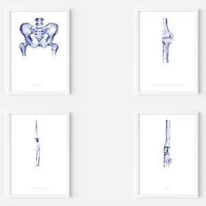 Manus - Hand | Medical Artwork | Anatomy Wall Art - Etsy