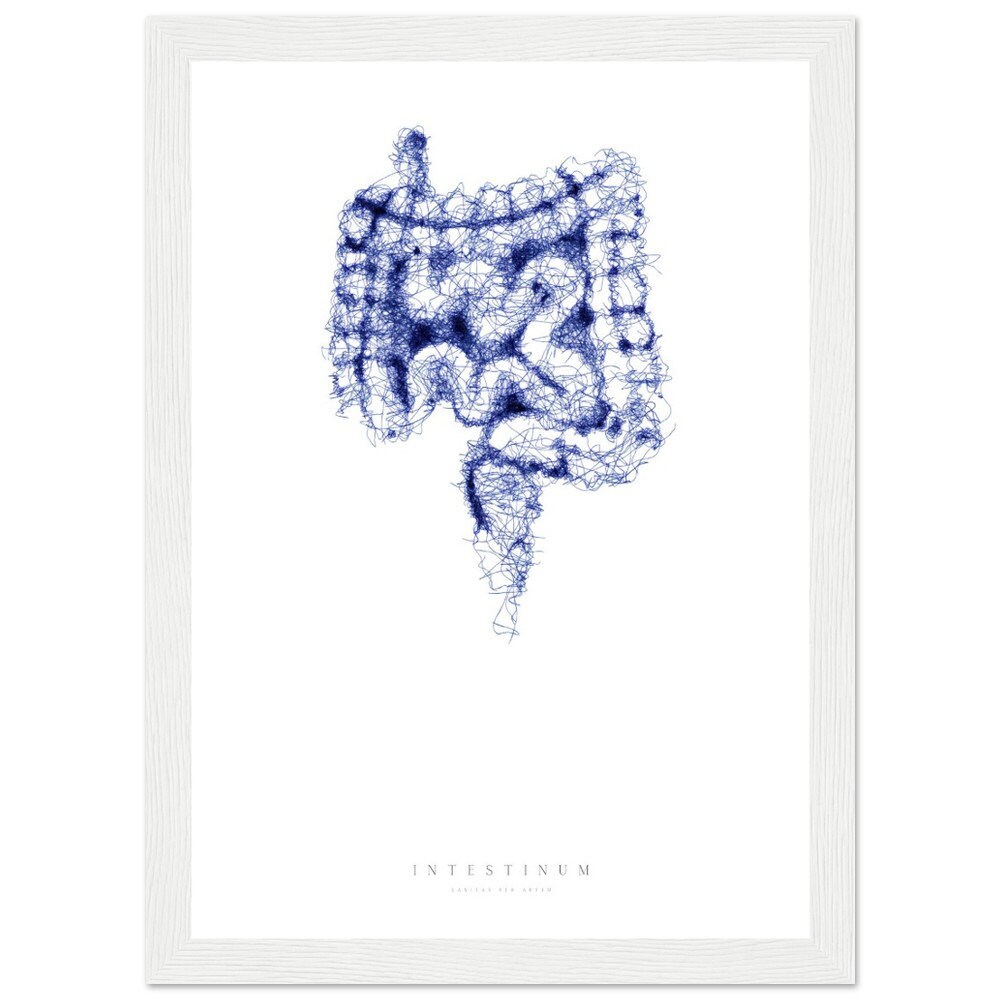 Intestinum Colon Medical Artwork Anatomy Wall Art - Etsy