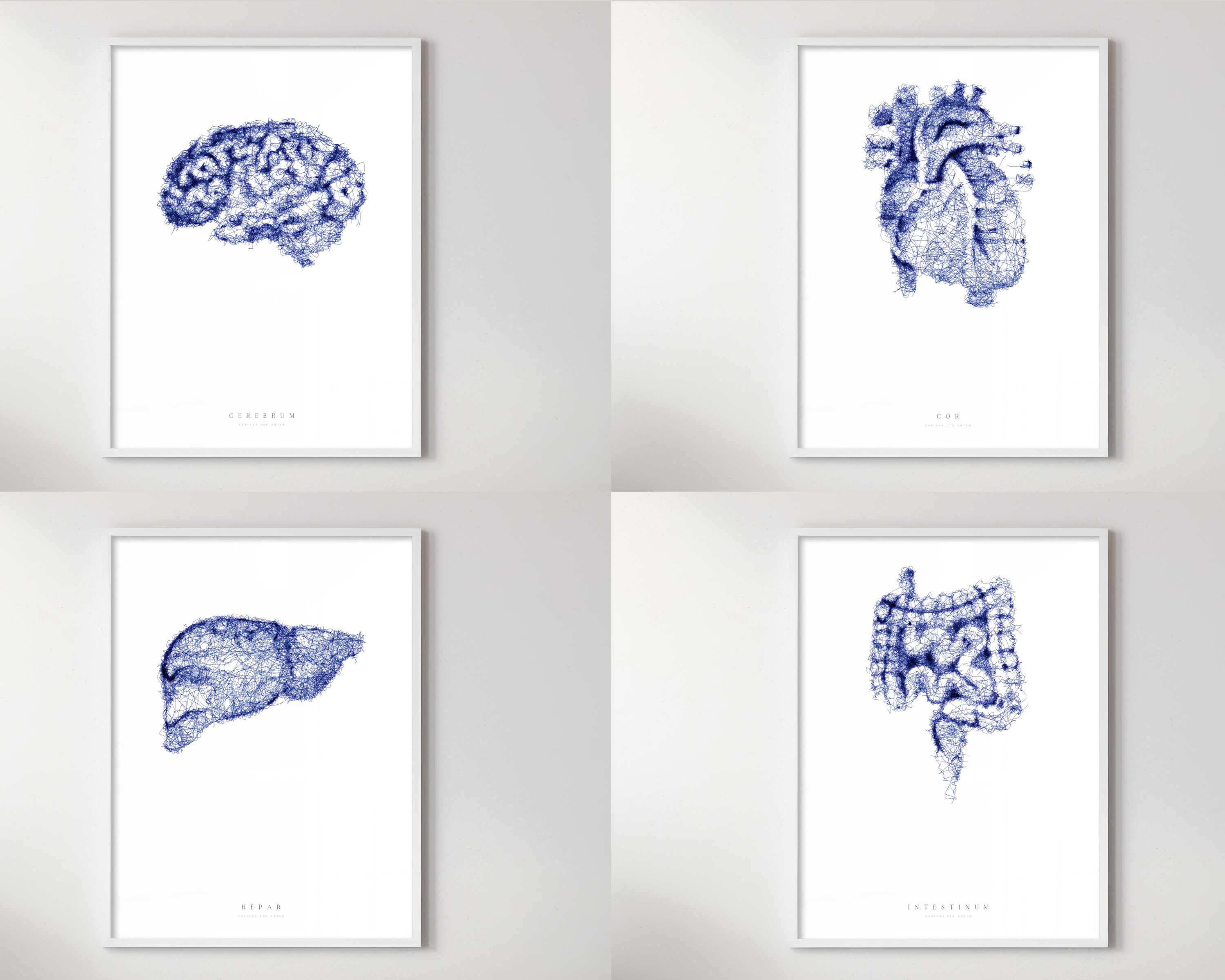 Hepar Liver Medical Artwork Anatomy Wall Art - Etsy