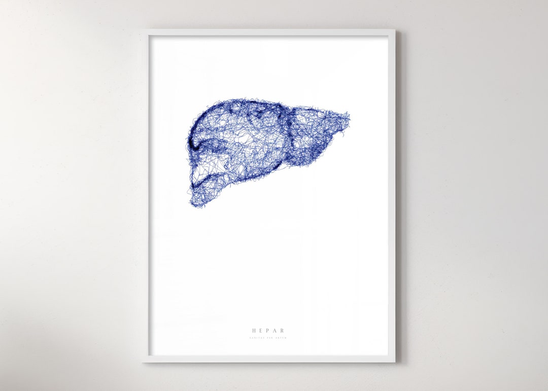 Hepar - Liver | Medical Artwork | Anatomy Wall Art - Etsy